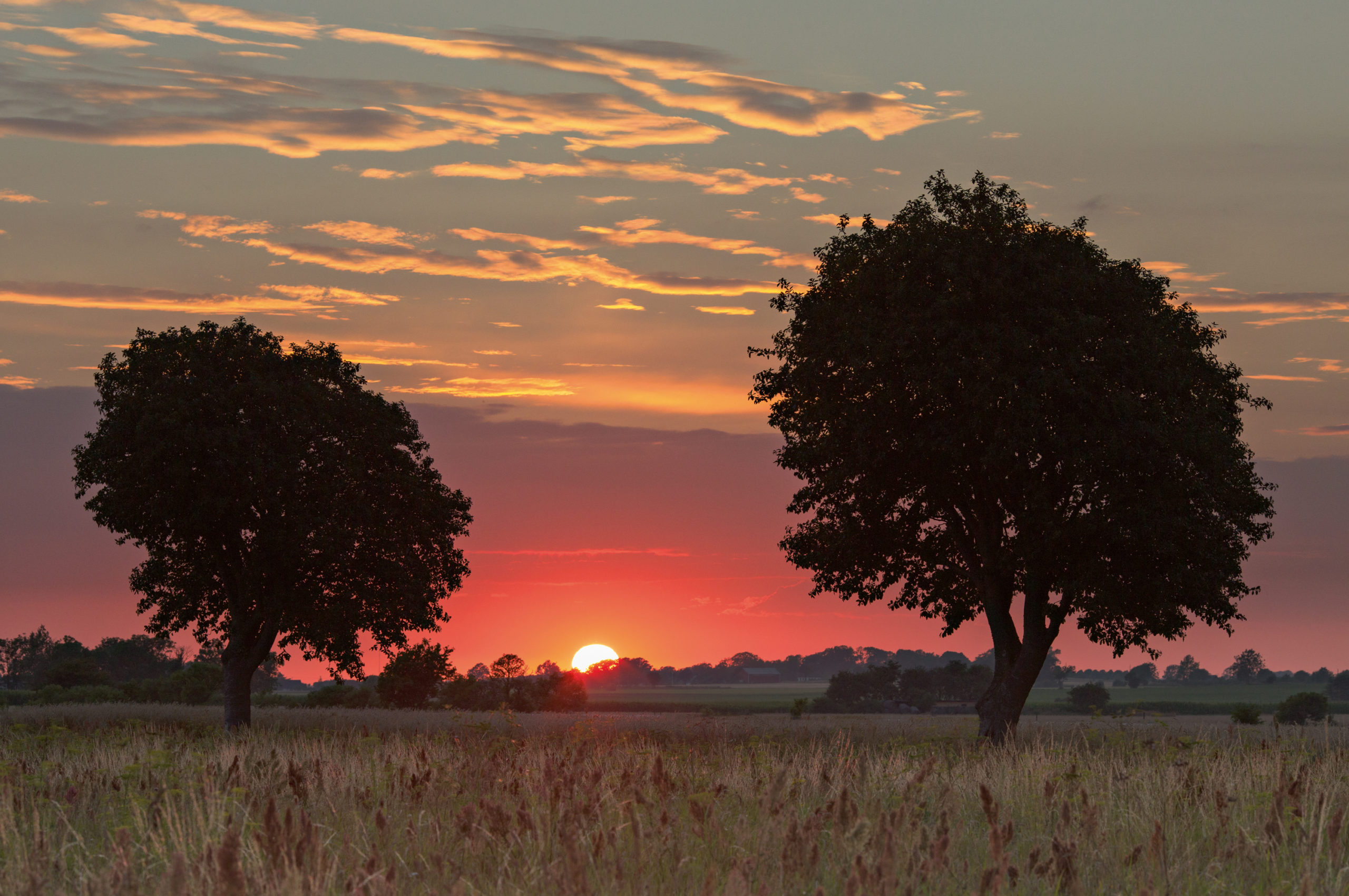 La dynamique : une denrée toujours rare - Volker Gilbert Photographie
